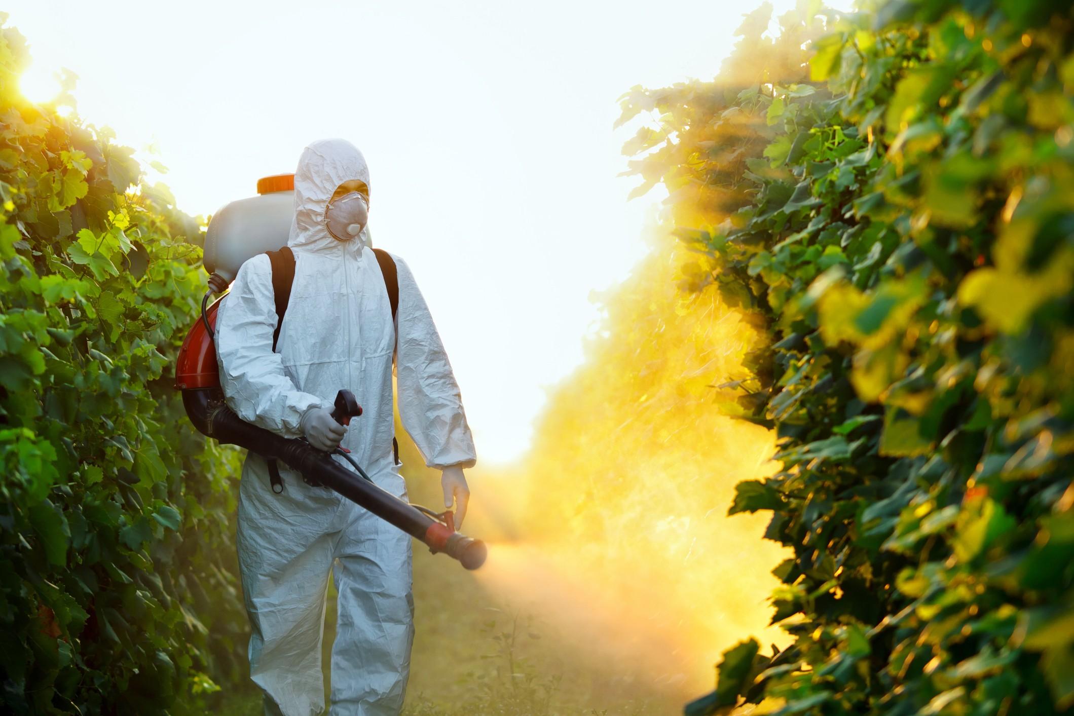 Pesticidi: 4 semplici consigli per evitare di portarli alla vostra ...