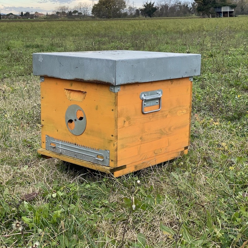 Alveare Castagno - Biorfarm