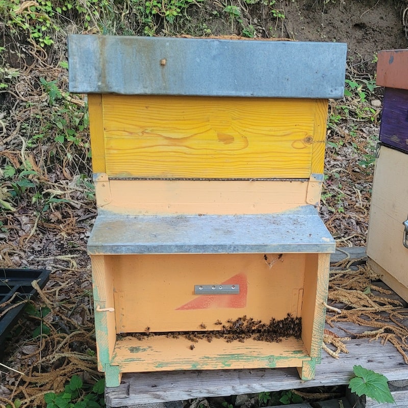 Alveare Mix - Biorfarm