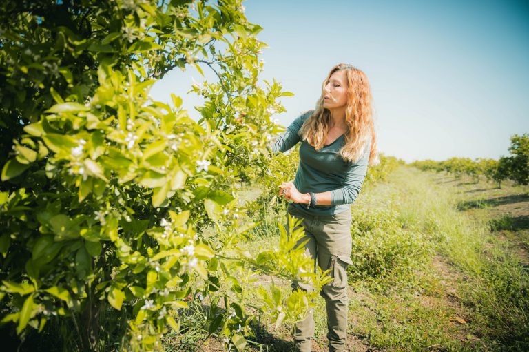 I costi dell'energia elettrica mettono in ginocchio le aziende agricole - Biorfarm