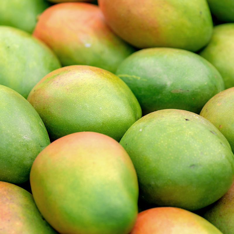 Biormarket - Consegna a domicilio in tutta Italia di frutta fresca Bio