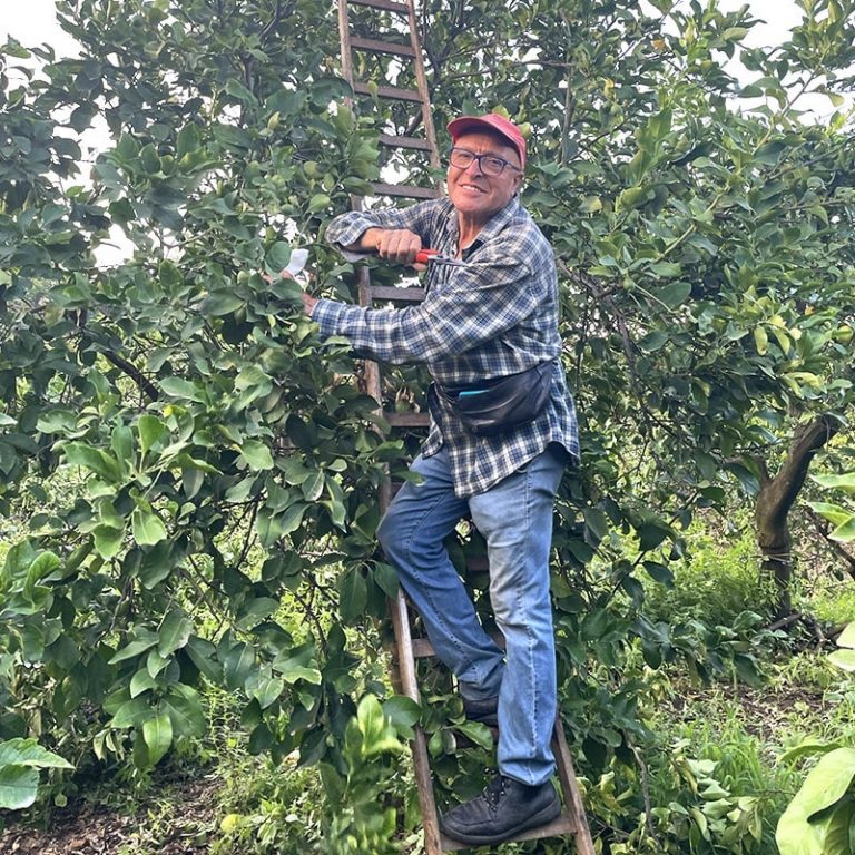 Famiglia Samperi - Biorfarm