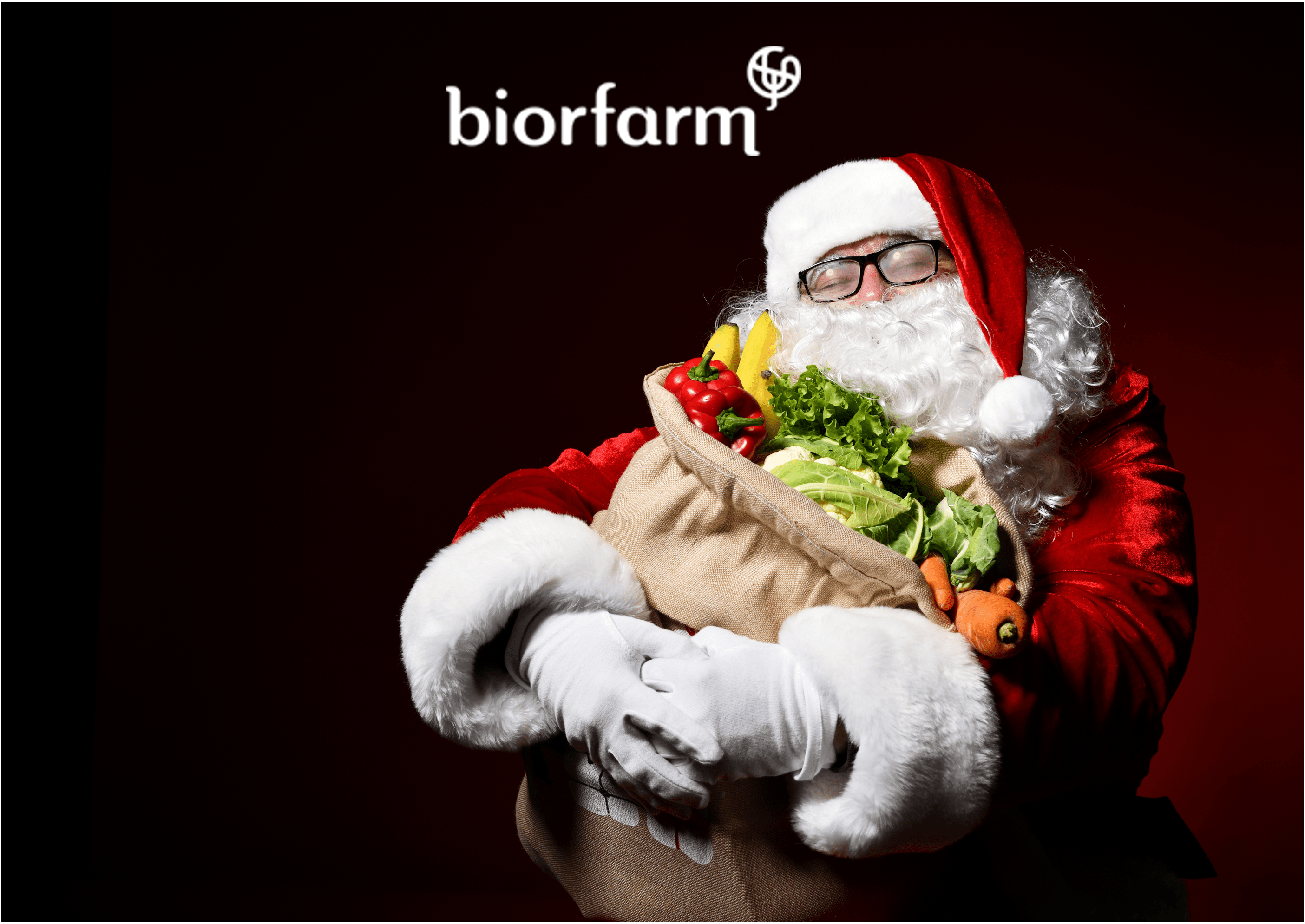 5 Consigli per Scegliere il Regalo Sostenibile Perfetto per Questo Natale - Biorfarm